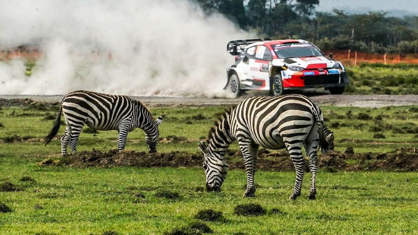 Safari; the rally that has everything::Comments | MozzartSportKe